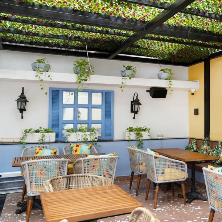 European Vibes at The Hazelnut Factory – The Hazelnut Factory